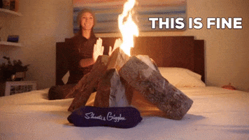 Its Fine Fire GIFs - Find & Share on GIPHY