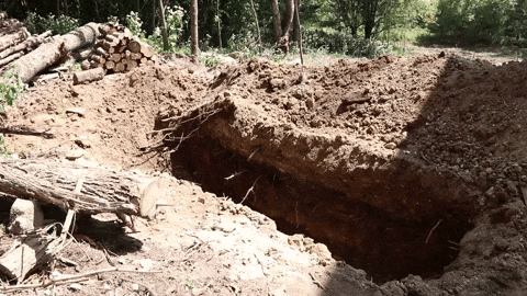 Grave Bury GIF by JC Property Professionals - Find & Share on GIPHY