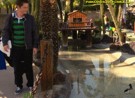 My-watermark GIFs - Get the best GIF on GIPHY