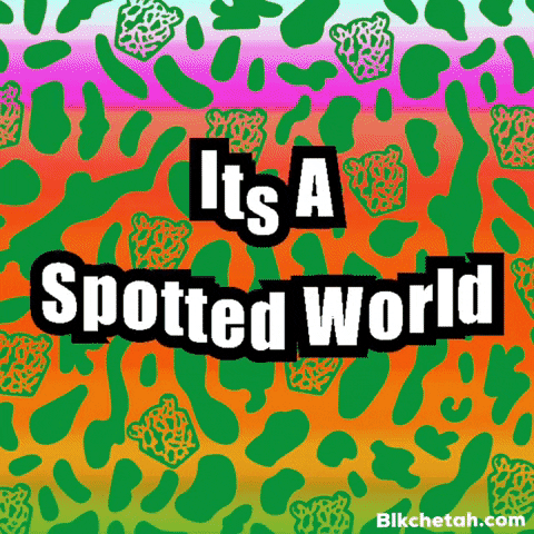 Cheetah Print GIFs - Find & Share on GIPHY