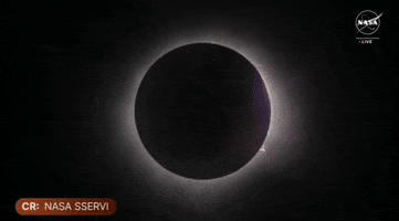 Eclipse GIFs on GIPHY - Be Animated