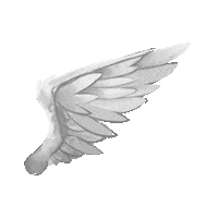 Flapping Angel Wings Gif