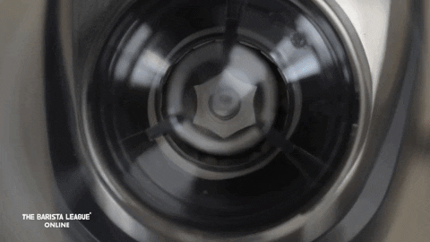 Coffee Grind GIF by The Barista League - Find & Share on GIPHY