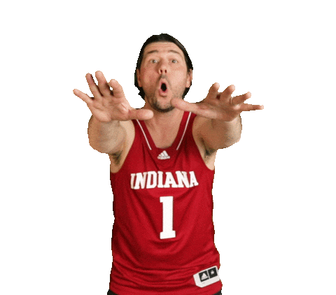 Indiana Hoosiers GIFs on GIPHY - Be Animated