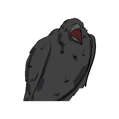 RAVENTrust GIFs - Find & Share on GIPHY
