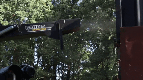 Bandit Tree Trimming GIF by JC Property Professionals - Find & Share on ...