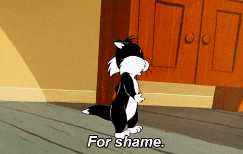 Shame Cat GIFs Get The Best GIF On GIPHY
