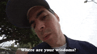Wisdom-teeth GIFs - Get the best GIF on GIPHY