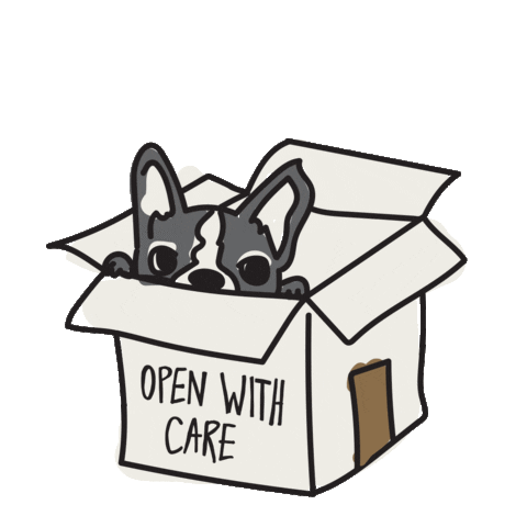 Move-In Day GIFs on GIPHY - Be Animated