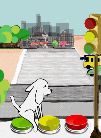 Dogs Dog Training GIF by SchoolForTheDogs - Find & Share on GIPHY