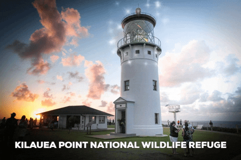 Refuge GIFs - Get the best GIF on GIPHY