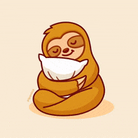Sloths Cuddling Gif