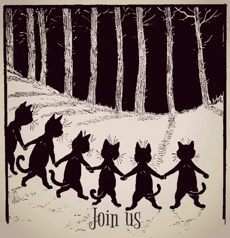 Black Cat Dance GIF by Industrial Workers of the World - Find & Share ...
