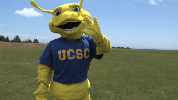 Banana Slug Sammy GIF by UC Santa Cruz - Find & Share on GIPHY