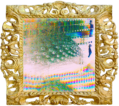 Mirror Frame GIFs - Get the best GIF on GIPHY