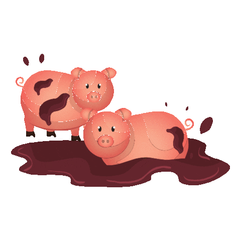 National Ladies Homestead Gathering GIFs on GIPHY - Be Animated