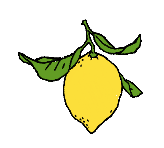 Lemon Sticker by Bits Bodywear for iOS & Android | GIPHY