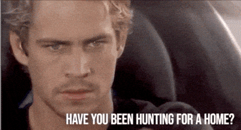 Openhousefunny GIFs - Get the best GIF on GIPHY
