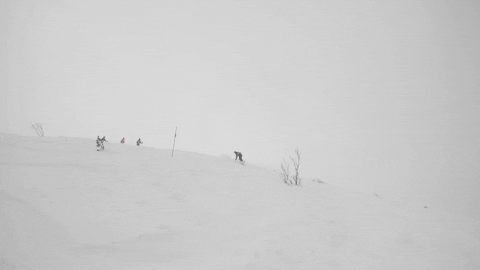 Snowboard Fall GIFs - Get the best GIF on GIPHY