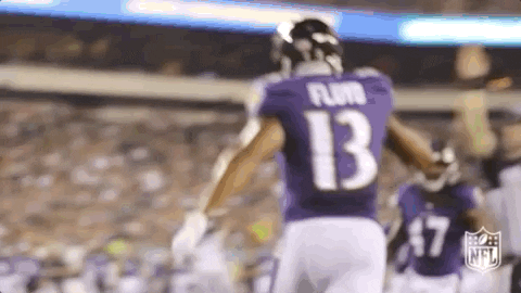 Baltimore Ravens Football GIF by NFL - Find & Share on GIPHY
