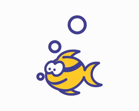 Dourados Peixinho GIF by piscinaecia - Find & Share on GIPHY
