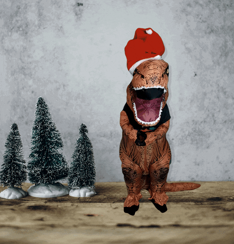 Christmas Costume GIFs - Get the best GIF on GIPHY