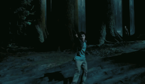 Expecto Patronum Gif Engracado