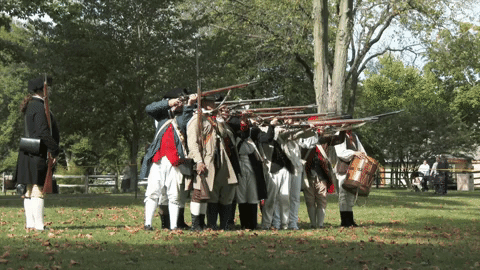 Colonialtimes GIFs - Find & Share on GIPHY