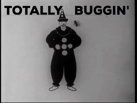 Totally Buggin GIFs - Get the best GIF on GIPHY