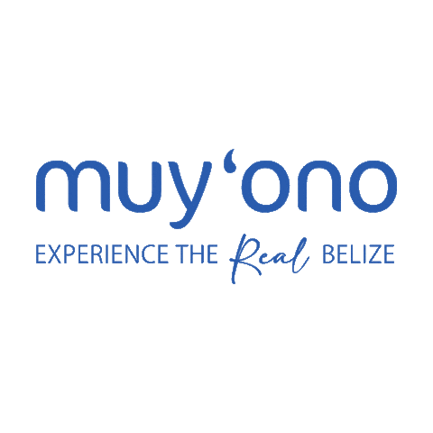 MuyOno Resorts GIFs on GIPHY - Be Animated