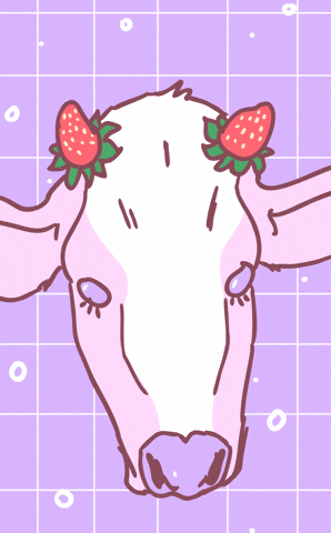 Winking Cow GIFs - Get the best GIF on GIPHY