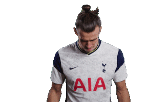 Tottenham Hotspur GIFs on GIPHY - Be Animated