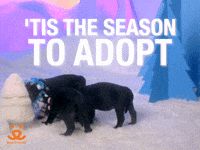 Best Friends Animal Society GIFs on GIPHY - Be Animated