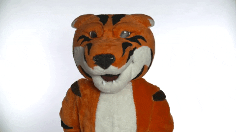 RITchie GIFS by Rochester Institute of Technology | GIPHY