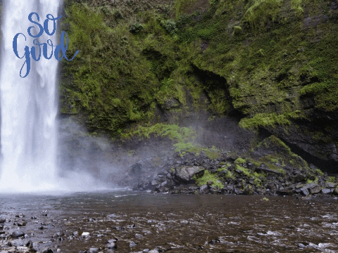 Service Centers GIFs - Get the best GIF on GIPHY