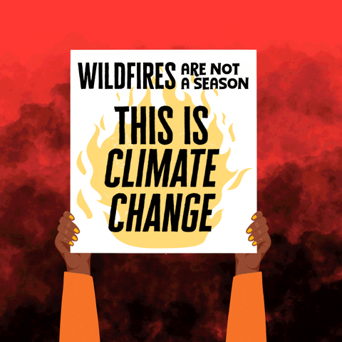 Climate Change Protest GIF by INTO ACTION - Find & Share on GIPHY