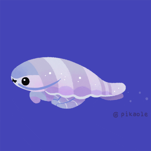 Giant Isopod GIFs - Get the best GIF on GIPHY