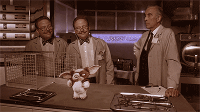 Gizmo Dance GIFs - Get the best GIF on GIPHY