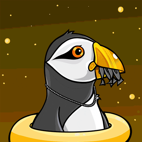 Bird Gif Animated Animations