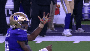 Washington Athletics GIFs on GIPHY - Be Animated