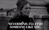 Adele Meme Someone Like You