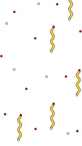 Motion Background GIF by Trakto - Find & Share on GIPHY