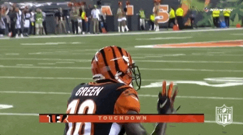 Cincinnati Bengals Football GIF by NFL - Find & Share on GIPHY