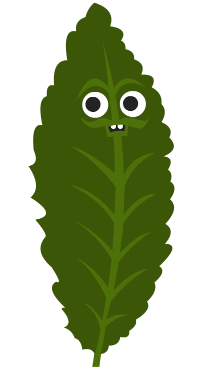 Green Leaf Cartoon GIFs - Find & Share on GIPHY