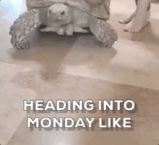 Mondays-like GIFs - Get the best GIF on GIPHY