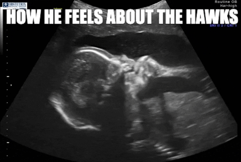 Beat Iowa GIFs - Get the best GIF on GIPHY