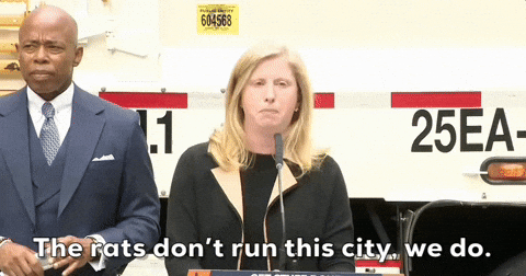 Running-rat GIFs - Get the best GIF on GIPHY