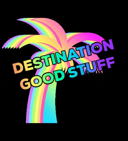 Travel Vacation GIF by Santa Barbara Beach & Golf Resort Curacao - Find ...