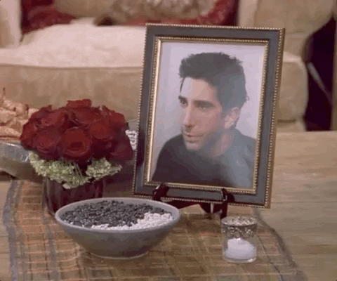 Episode 17: The One with the Memorial Service GIFs on GIPHY - Be Animated