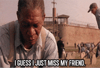 Morgan Freeman Shawshank Gif